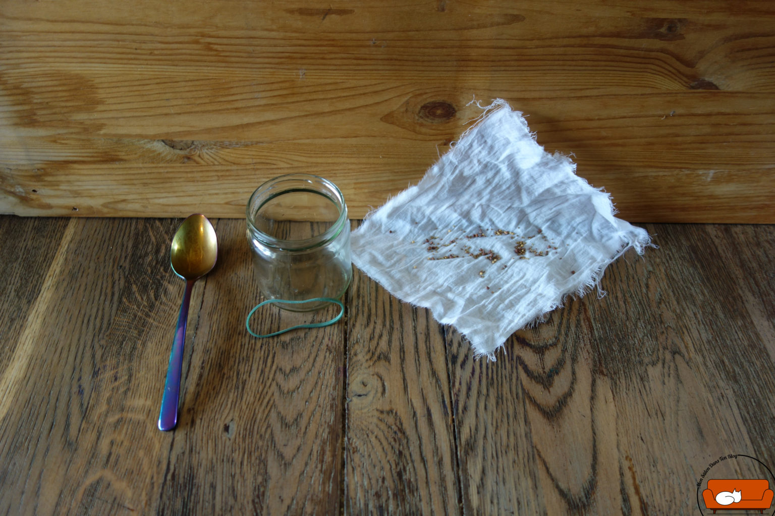 Mon germoir maison. - Mon Salon Dans Ton Blog